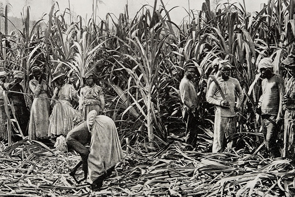 10 Pivotal Moments in Rum History | Rum 101 | The Rum Tribe