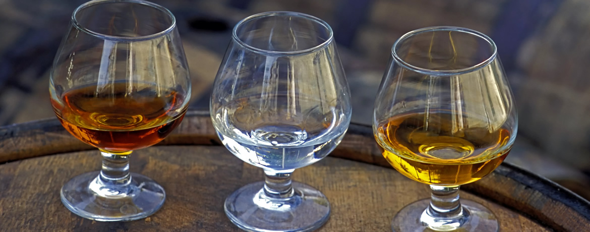 Types of Rum | Rum 101 | The Rum Tribe